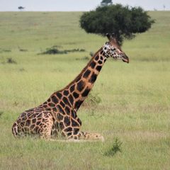 Our Projects – Future Generation Trust